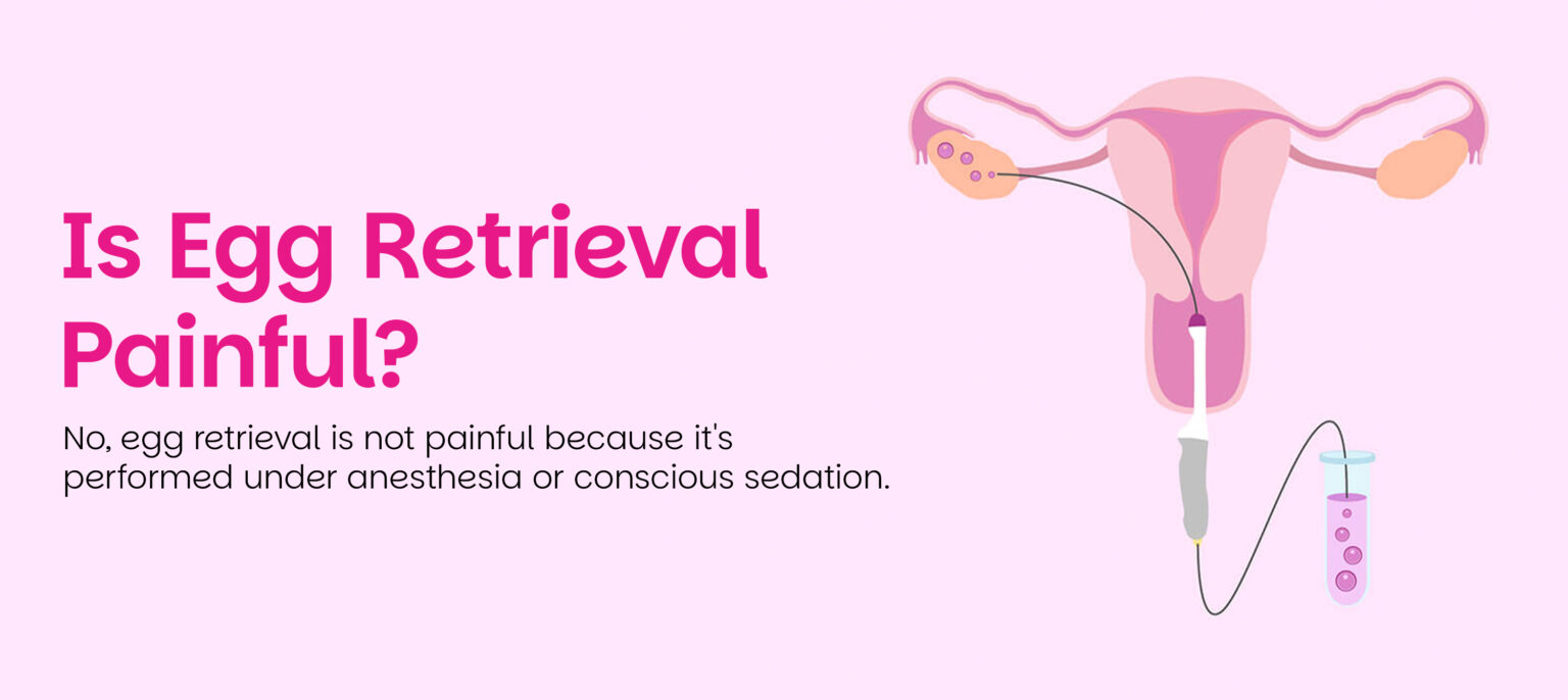 Is Egg Retrieval Painful? IVF Procedure & Recovery Guide